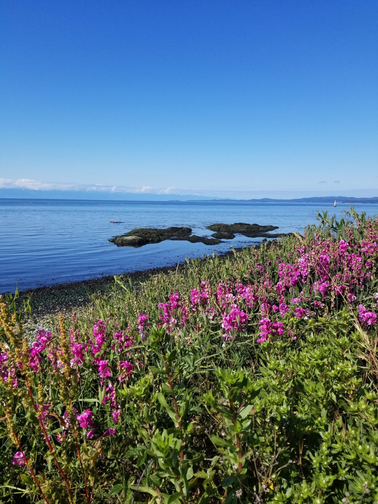 A Journey Just Begun - The Sisterhood of St. John the Divine